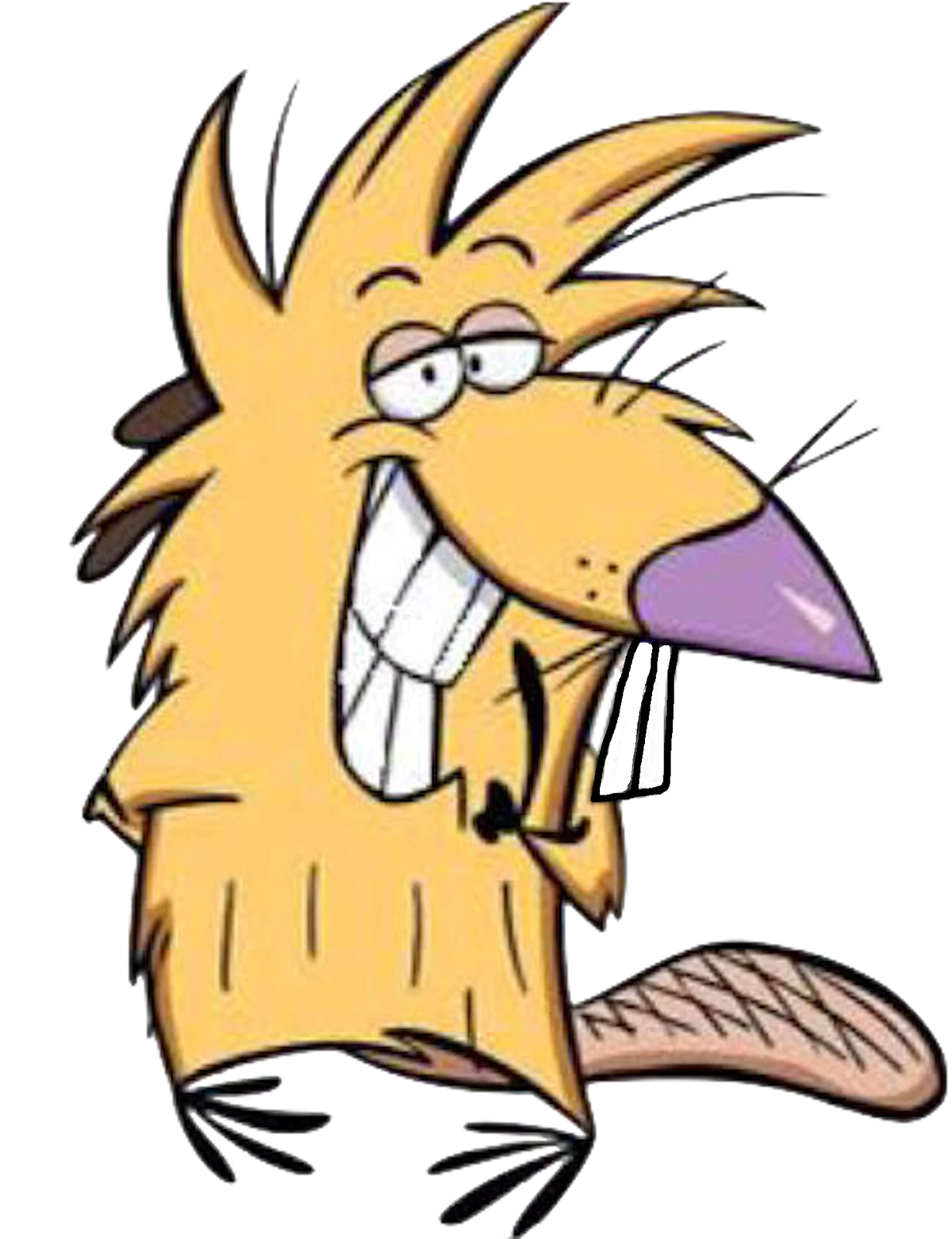 Norbert Beaver | Yuna's Princess adventure Wikia | Fandom