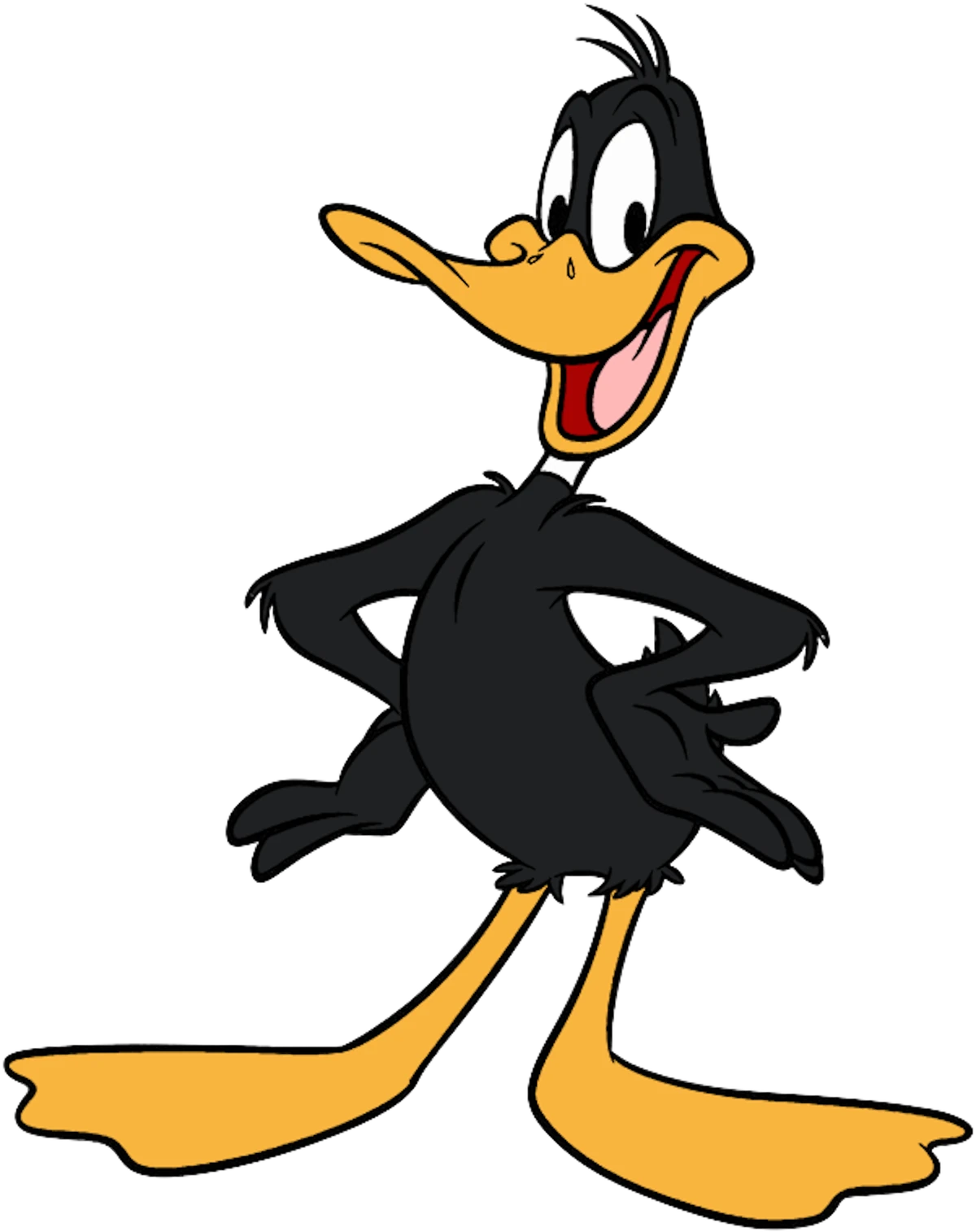 Daffy Duck | Yuna's Princess adventure Wikia | Fandom