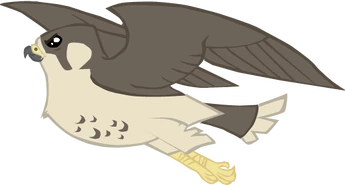 Falcon (MLP) | Yuna's Princess adventure Wikia | Fandom