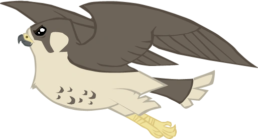 Falcon (MLP) | Yuna's Princess adventure Wikia | Fandom