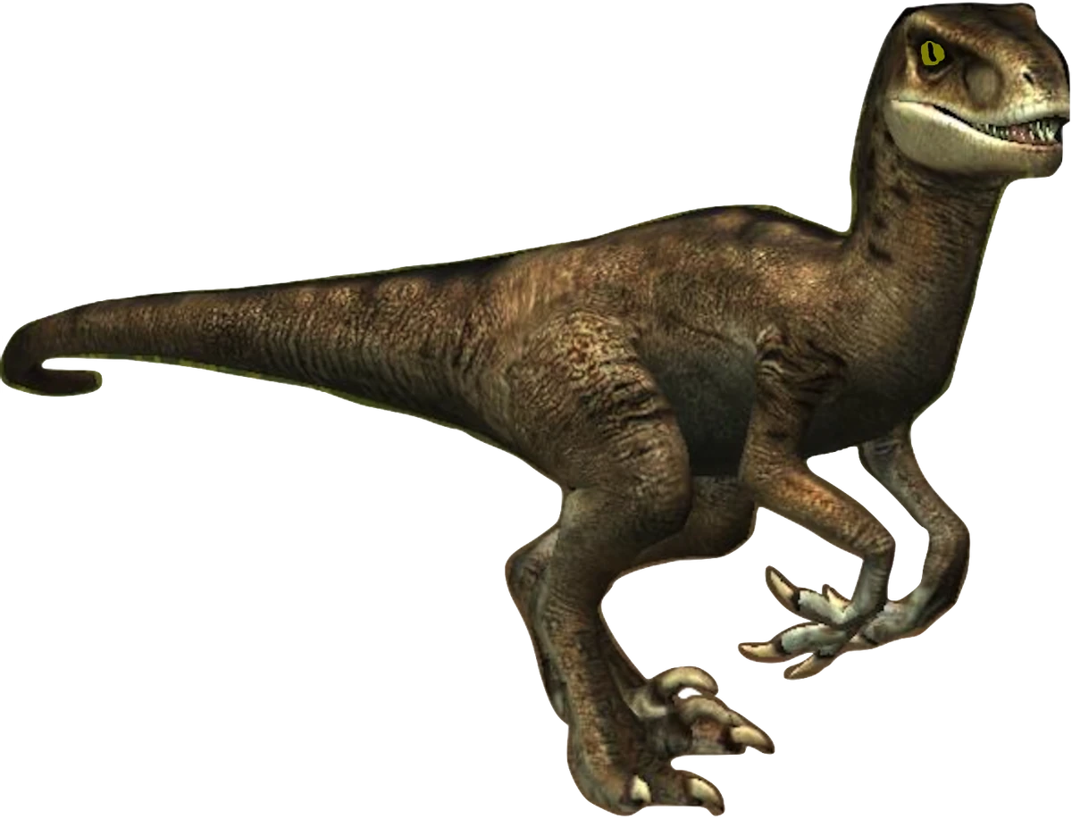 Donna (Velociraptor) | Yuna's Princess adventure Wikia | Fandom