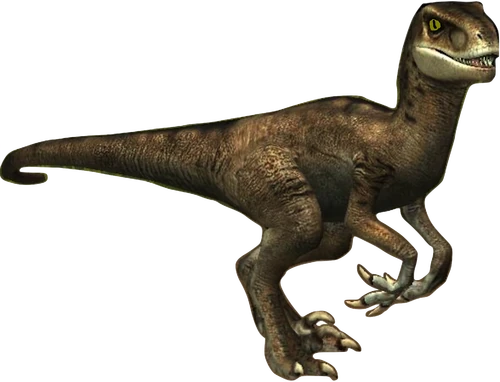 Donna (Velociraptor) | Yuna's Princess adventure Wikia | Fandom