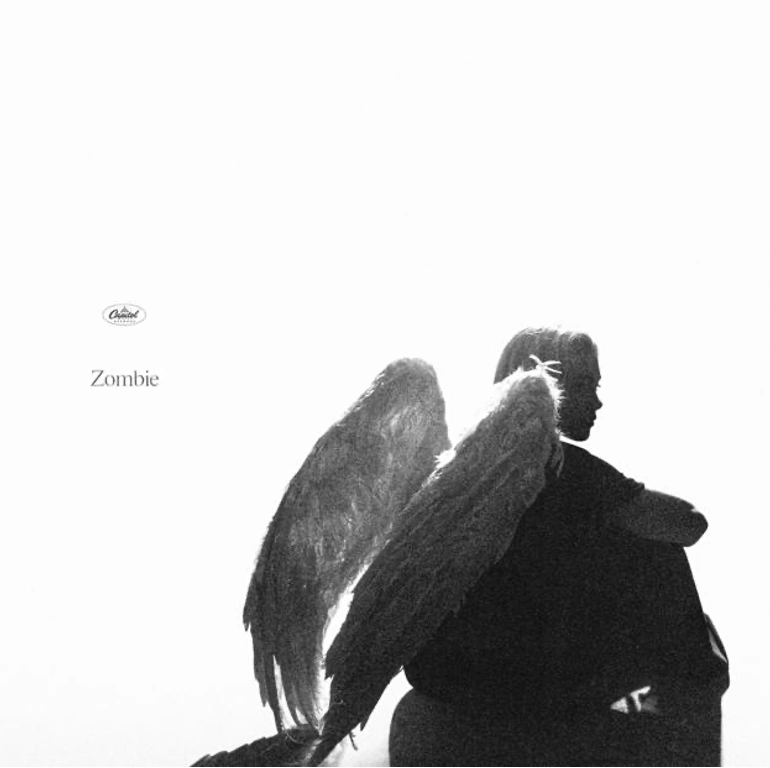 Zombie | YUNGBLUD Wiki | Fandom