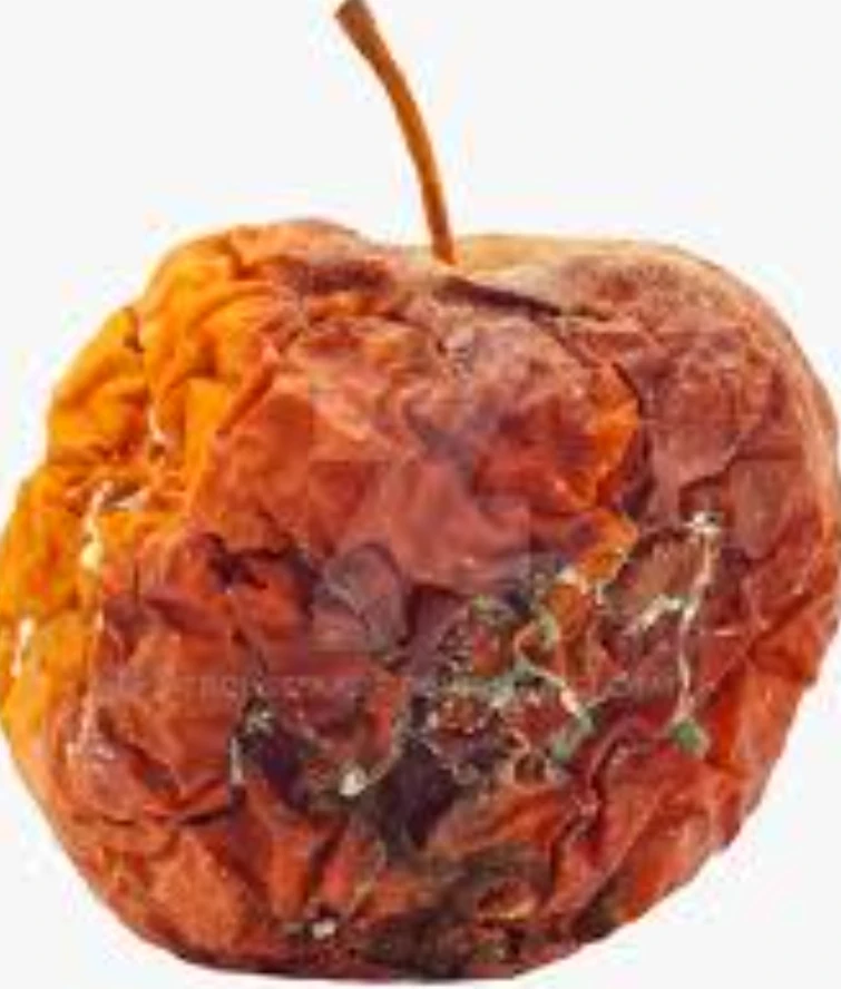 Goofy Boofy Monster | Yunglimabeanohio Wiki | Fandom