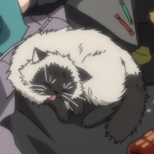 Potya | Yuri!!! on Ice Wikia | Fandom