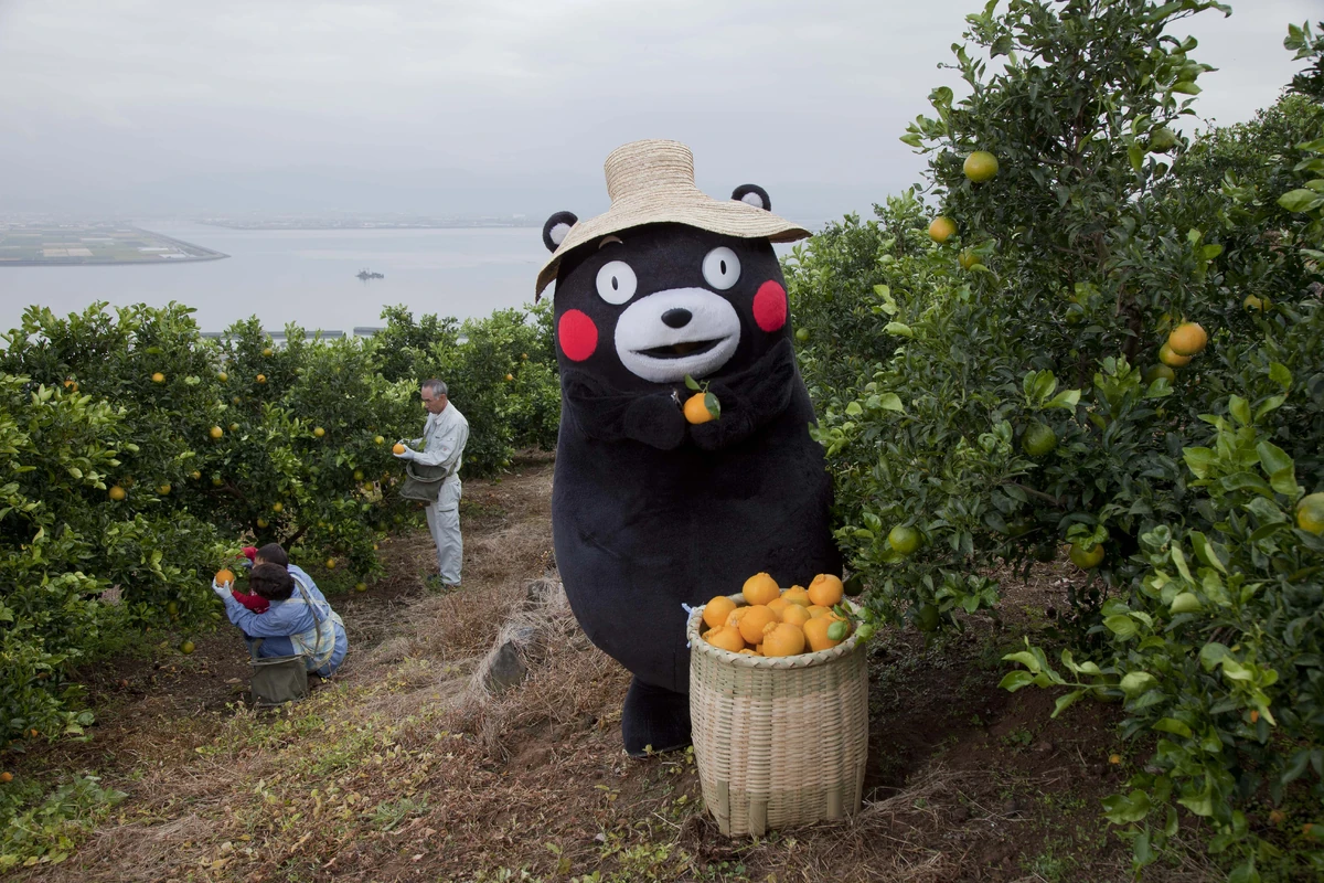 Kumamon | ゆるキャラ Wikia | Fandom