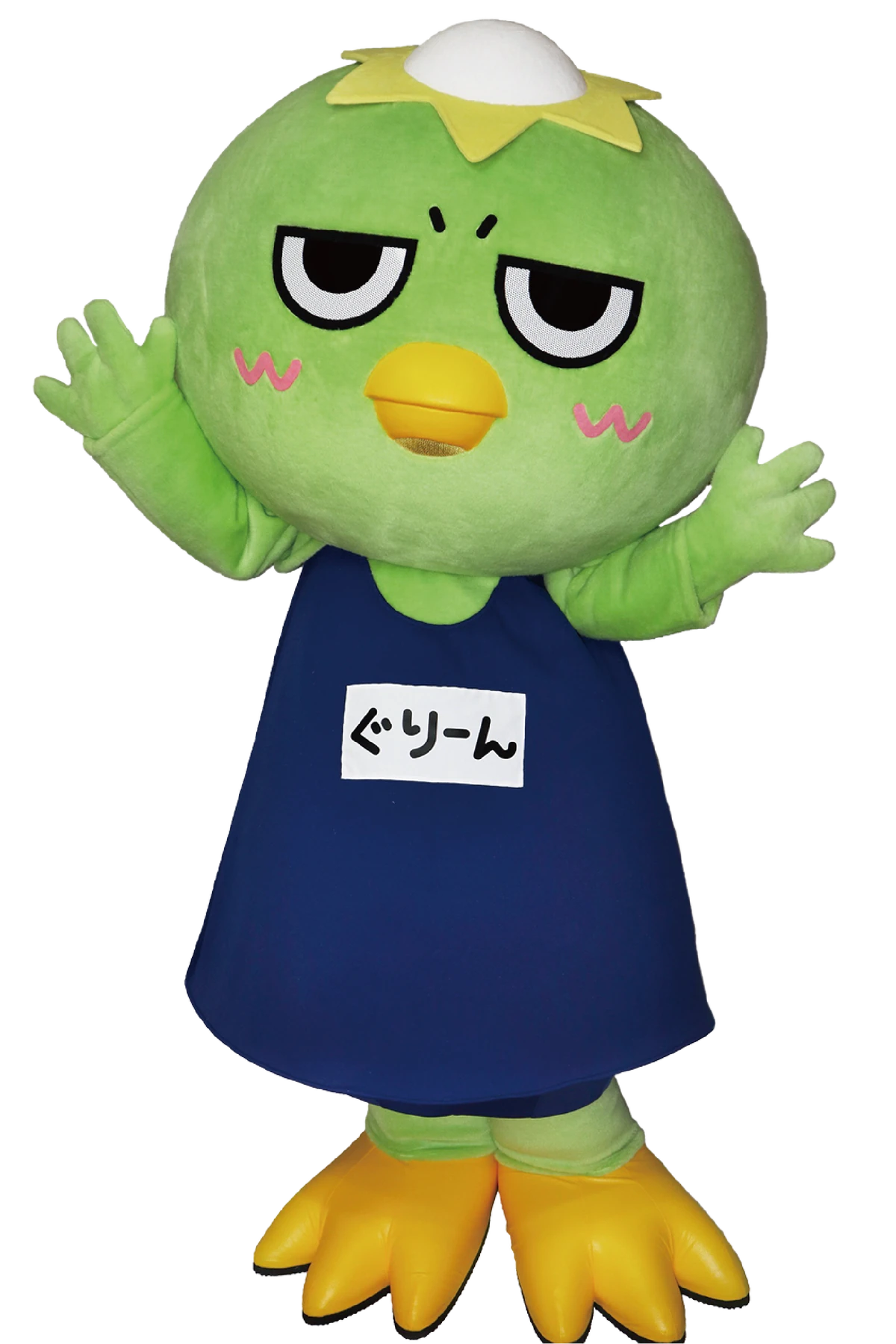 Kappa Green | Yuru-chara Wiki | Fandom