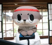 Shinjo-kun | Yuru-chara Wiki | Fandom