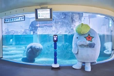 Manayan | Yuru-chara Wiki | Fandom