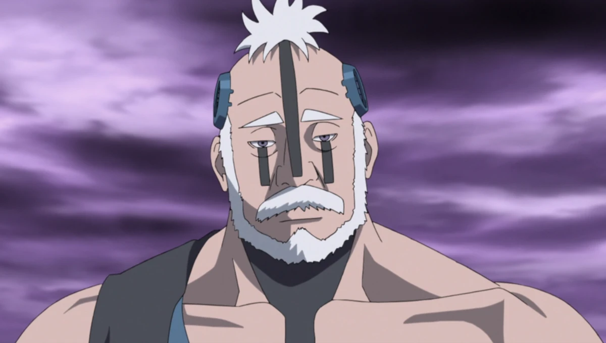 Boro | Z1lp Wiki | Fandom