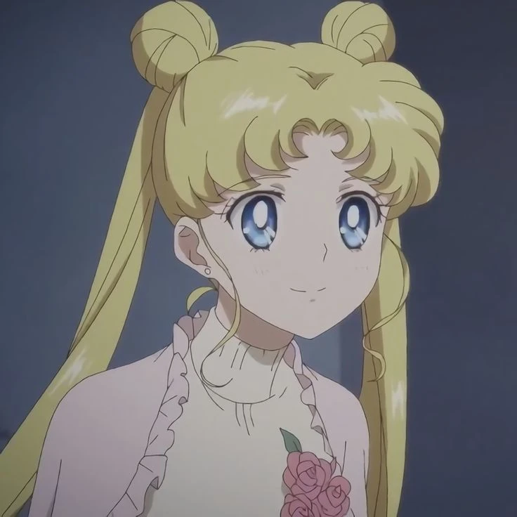 Usagi Moon | Z1lp Wiki | Fandom