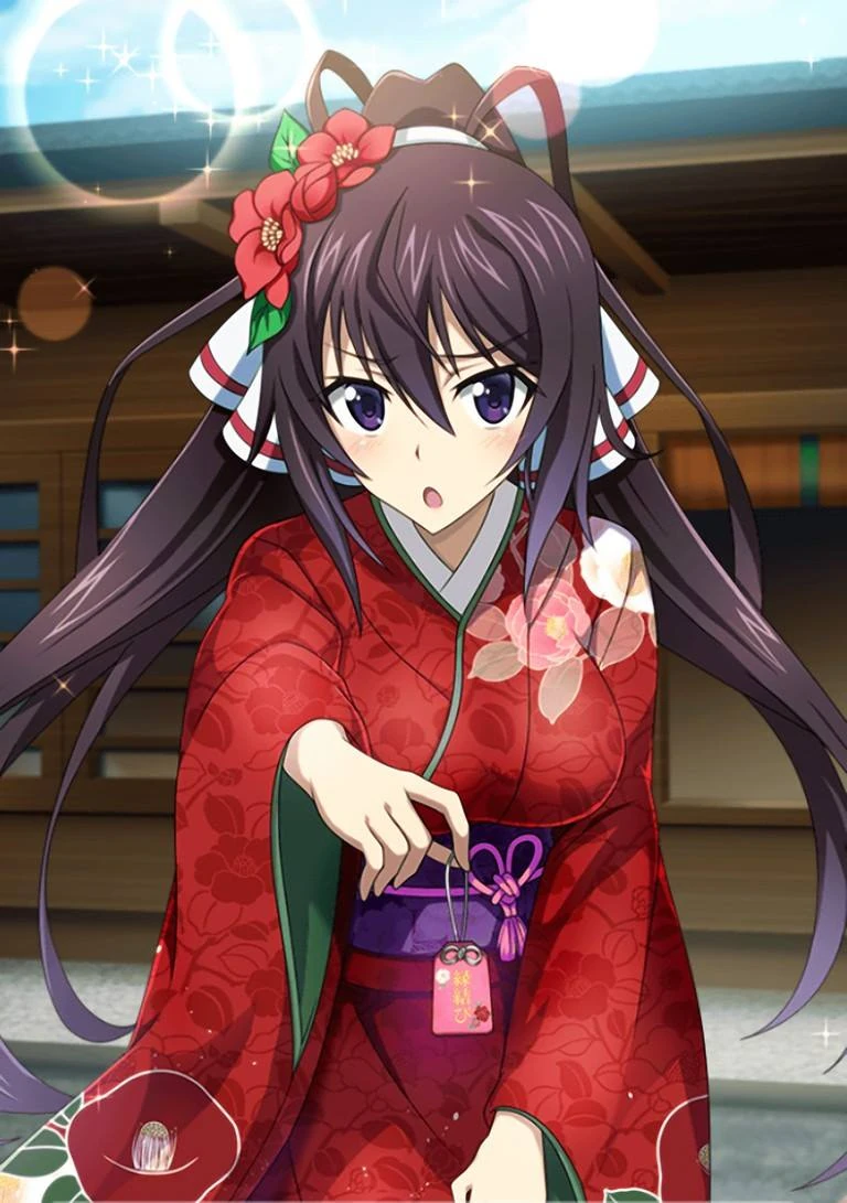 Houki Shinonono | Z1lp Wiki | Fandom