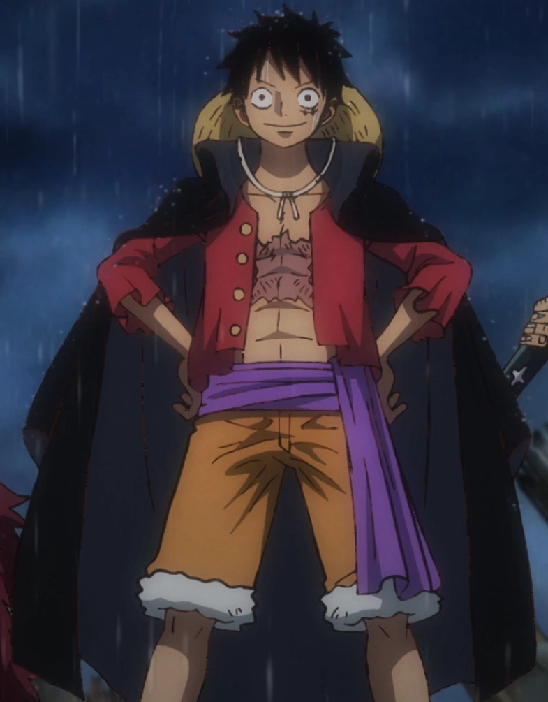 Monkey D. Luffy | Z1lp Wiki | Fandom