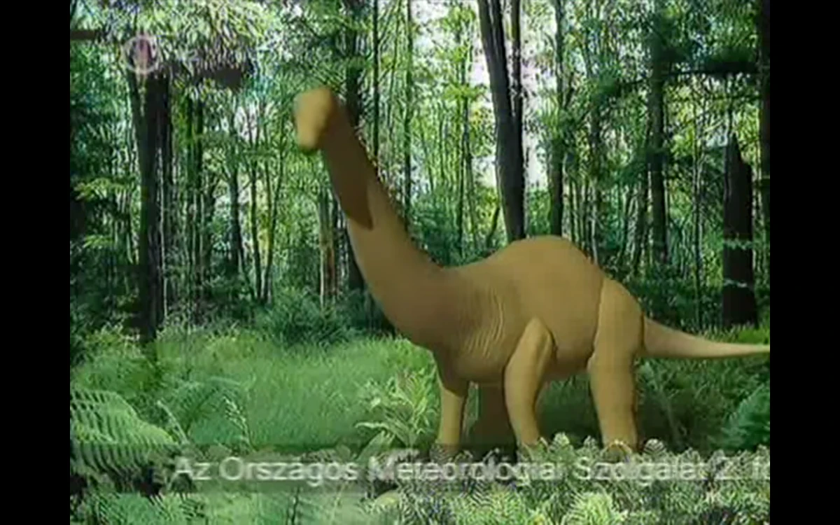 Brontosaurus | The Zoboomafoo Wiki | Fandom