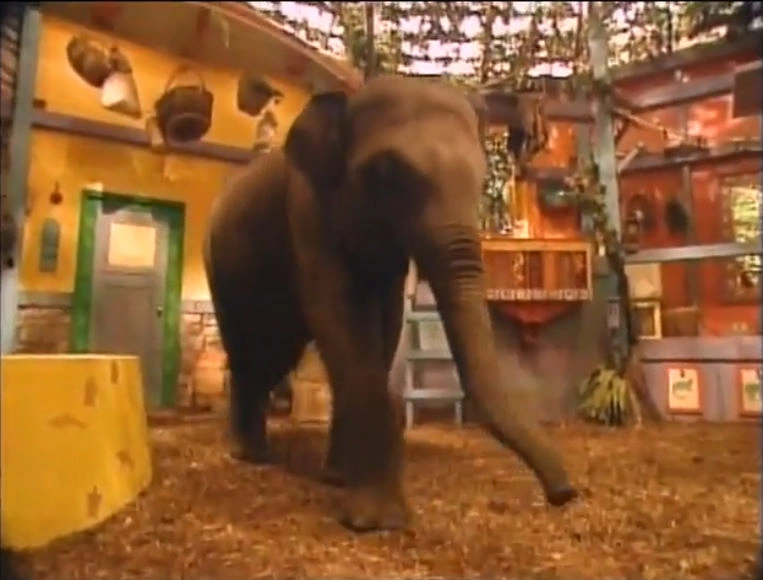 Toothbrush | The Zoboomafoo Wiki | Fandom