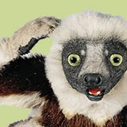 Emu The Zoboomafoo Wiki Fandom