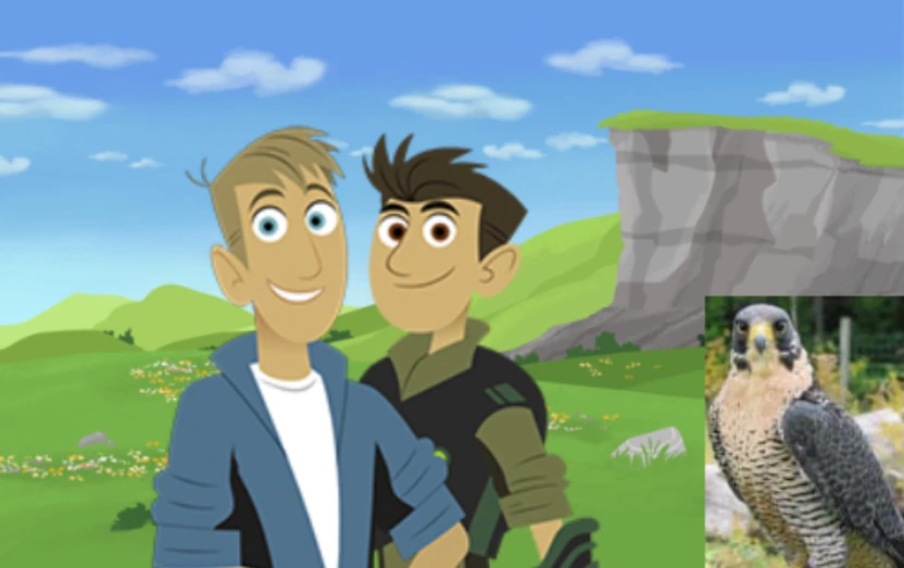 Martin Kratt | The Zoboomafoo Wiki | Fandom