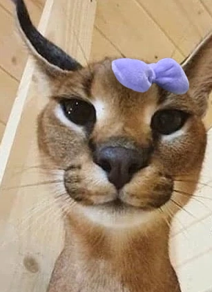 Zabloing's hoe | Zablopedia Revamped Wiki | Fandom