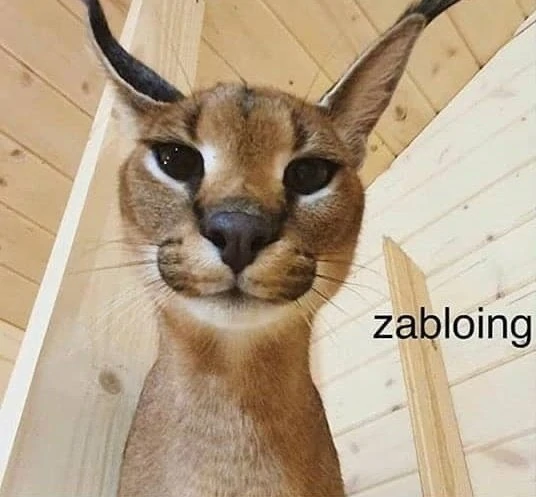 Zabloing | Zablopedia Revamped Wiki | Fandom