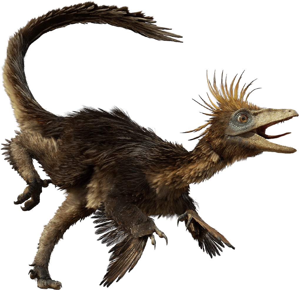 Troodon | Zachary the Dino Wiki | Fandom