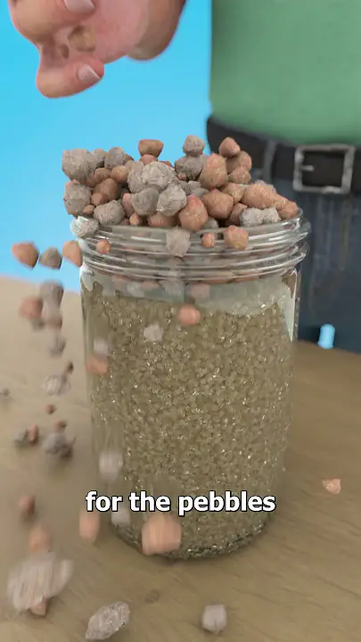 Category:Fact-telling shorts | Zack D. Films Wiki | Fandom