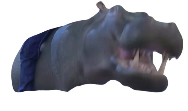 Hippo | Zack D. Films Wiki | Fandom