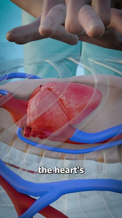 How CPR Works 🫀 | Zack D. Films Wiki | Fandom