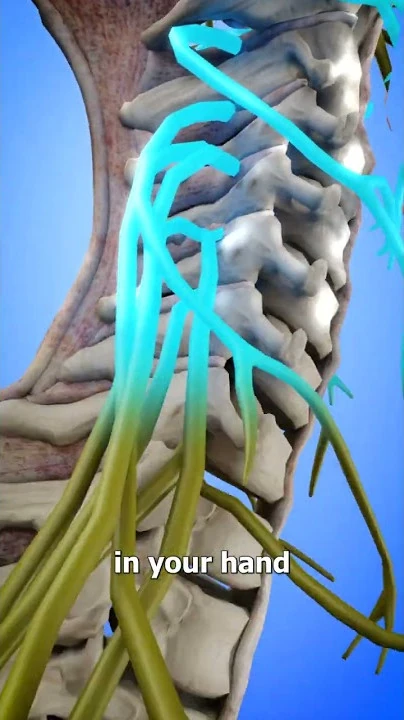 How Your Hand Can Move On Its Own 😨 | Zack D. Films Wiki | Fandom