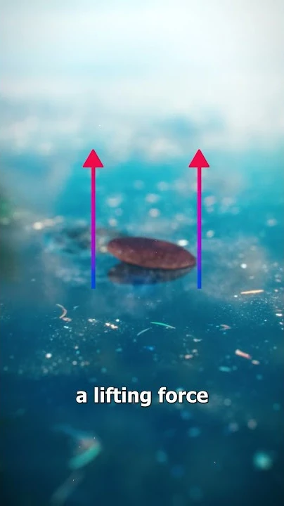 How Stones Skip On Water 🤔 | Zack D. Films Wiki | Fandom