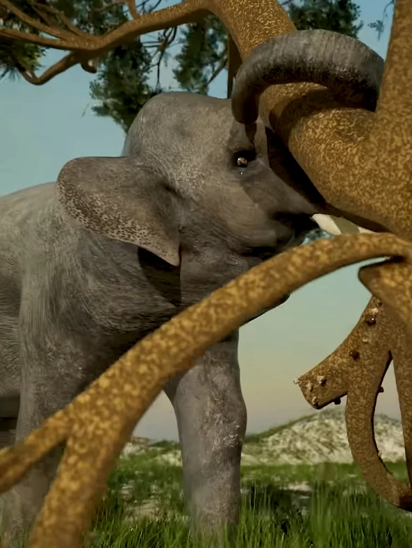 Elephant | ZackDfilms Wiki | Fandom