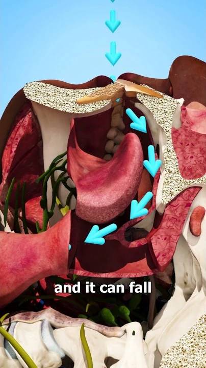 Can You Choke on Your Tongue? 😨 | Zack D. Films Wiki | Fandom