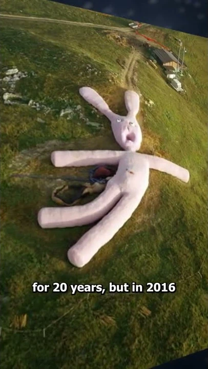 Creepy Giant Bunny EXPLAINED 😱 (decomposing) | Zack D. Films Wiki | Fandom