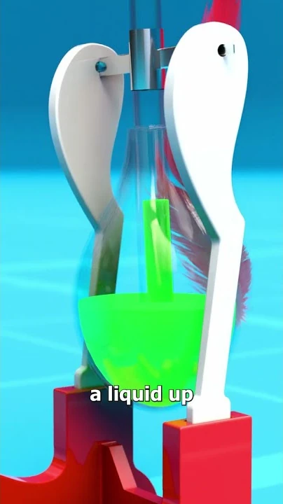 How The Drinking Bird Works 🤔 | Zack D. Films Wiki | Fandom