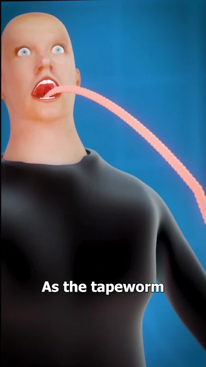 What Is A Tapeworm? 😨 | Zack D. Films Wiki | Fandom