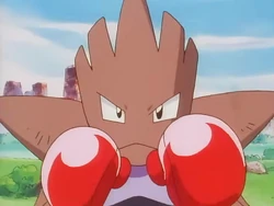 Anthony | Zactoshi What If Pokémon Wiki | Fandom