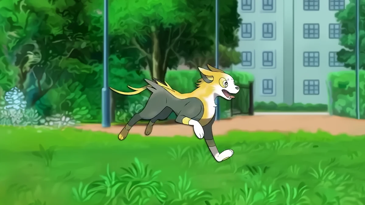 Hop's Boltund | Zactoshi What If Pokémon Wiki | Fandom