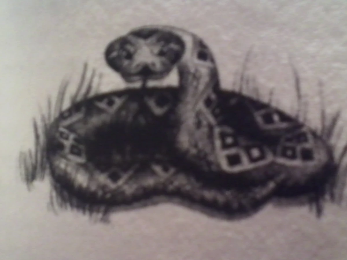 War Snake | Zahrah the Windseeker Wiki | Fandom