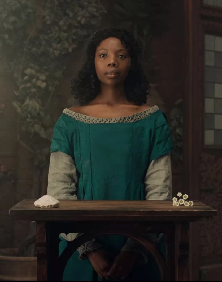 Fringilla Vigo/Netflix | Zaklínač Wiki | Fandom