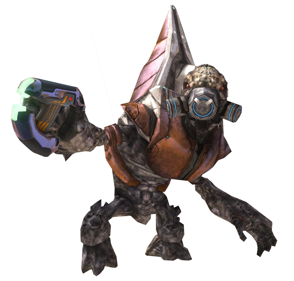 Unggoy | ZAKSTER Wiki | Fandom