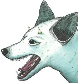 Rumo of Zamonia | Zamonia Wiki | Fandom