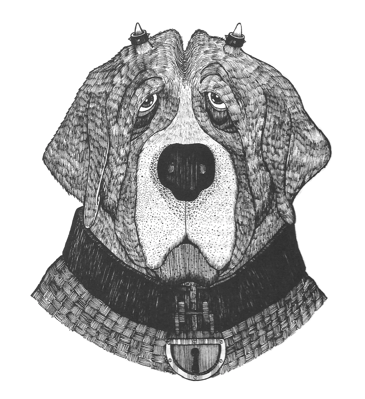 Jowly of Gloomberg | Zamonia Wiki | Fandom