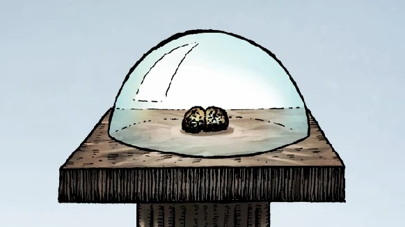 Zamonium | Zamonia Wiki | Fandom