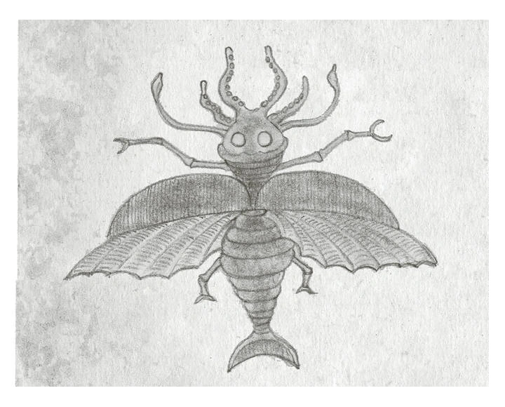 Oktokäfer | Zamonien Wiki | Fandom