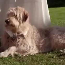 Jackson Kalegalleryzapped Zapped Wiki Fandom Powered Image Listen