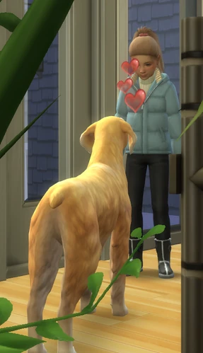 Ella Jensen | Zara'ssims Wiki | Fandom