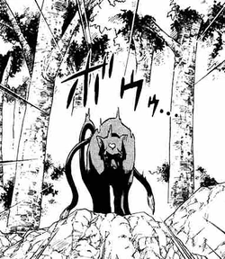 Boruku | Zatch Bell! | Fandom