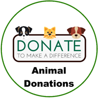 ZAWA Mod Wiki | Fandom