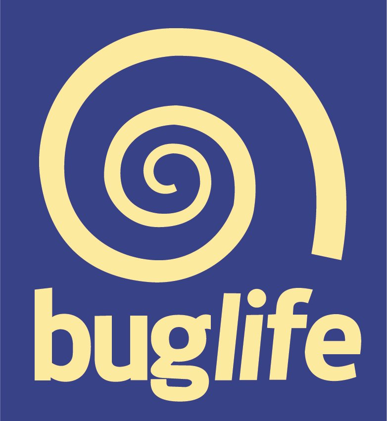 Buglife Zawa Mod Wiki Fandom