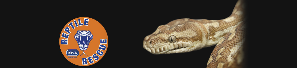 Reptile Rescue Zawa Mod Wiki Fandom