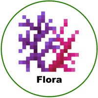 ZAWA Mod Wiki | Fandom